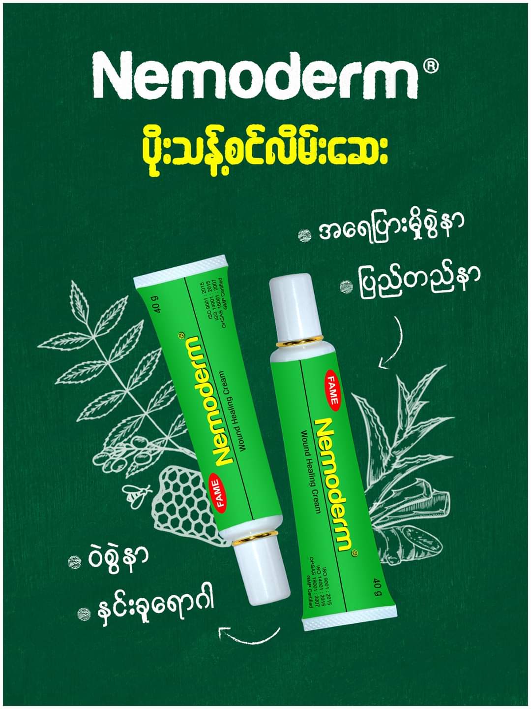 Fame Nemoderm , Fame ပိုးသန့်စင် လိမ်းဆေး , အရေပြားမှိုစွဲနာ , ပြည်တည ...
