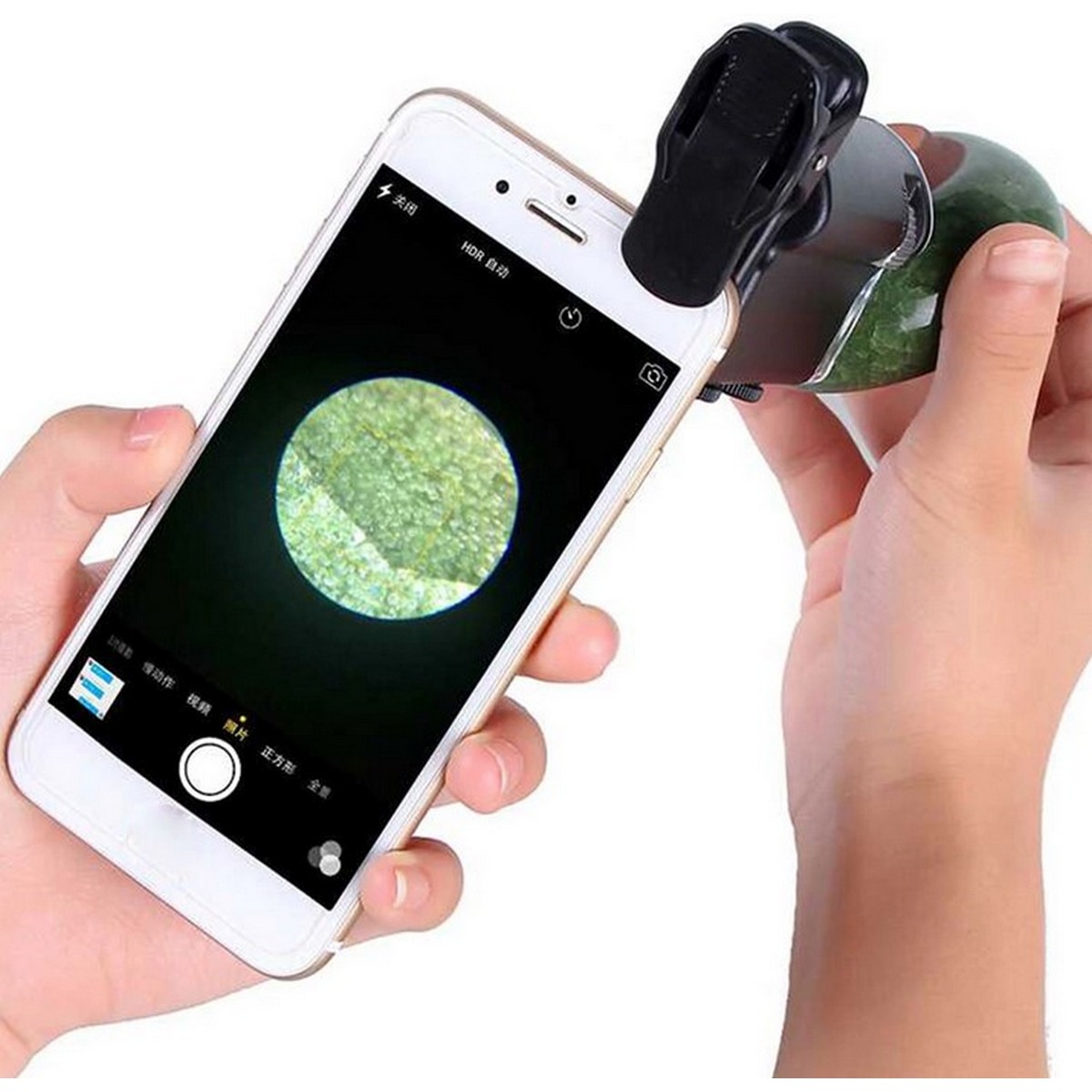 Clip Type Microscope | Shop.com.mm