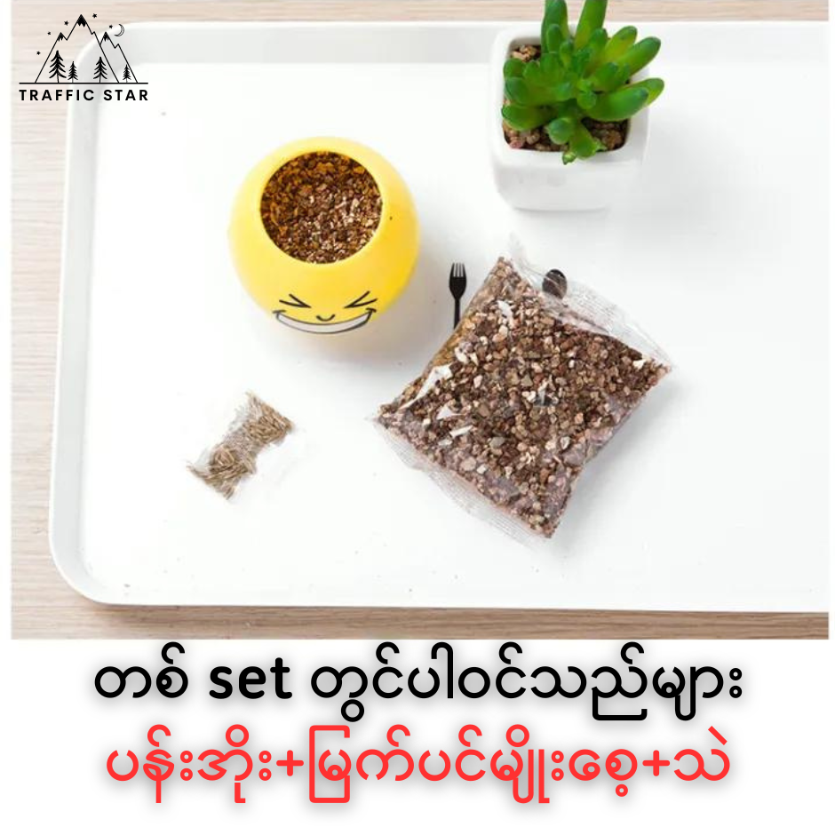 Small potted grass head small potted grass Mini office plants (အခန်းတွင ...