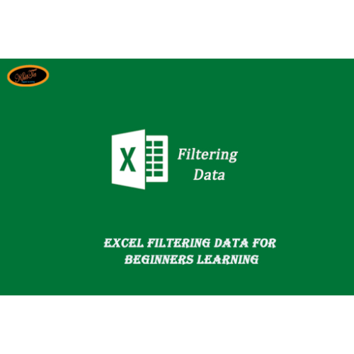 Excel Filtering Data for Beginners Learning DVD Soft Copy (iso) | Shop ...